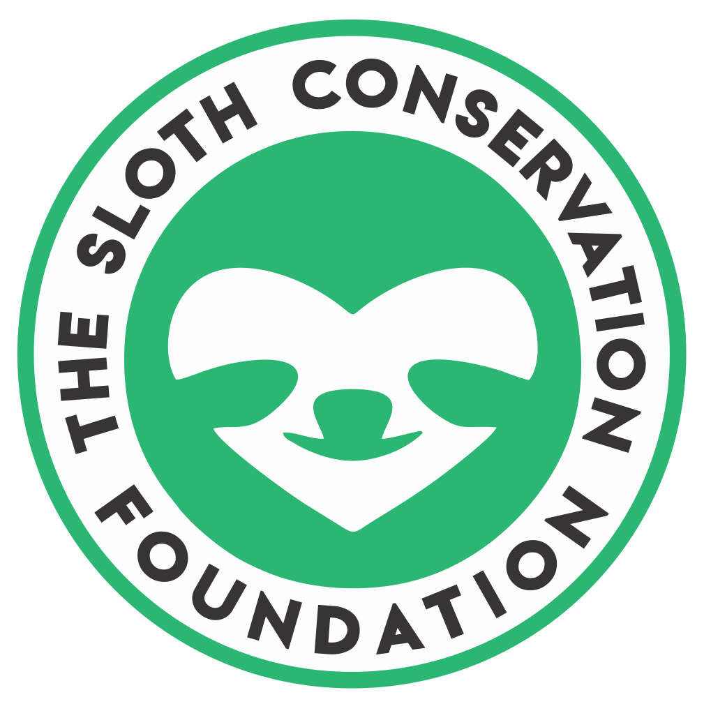Sloth Conservation Play For Nature Sloth Conservation Play For Nature