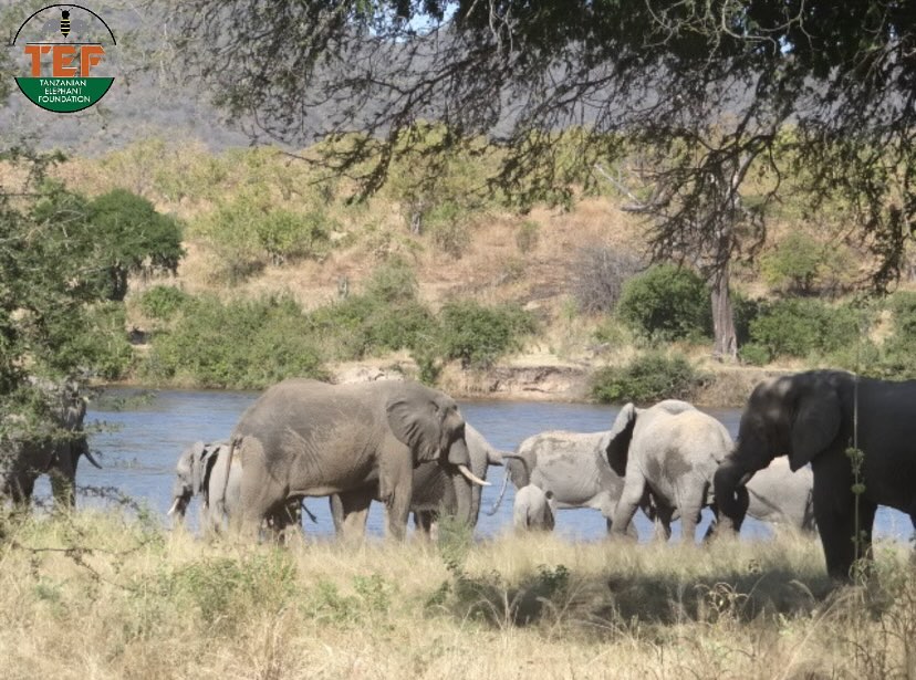 Submit a proposal - Play For Nature