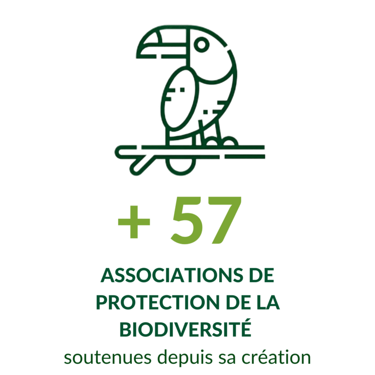 Who are we - Play For Nature